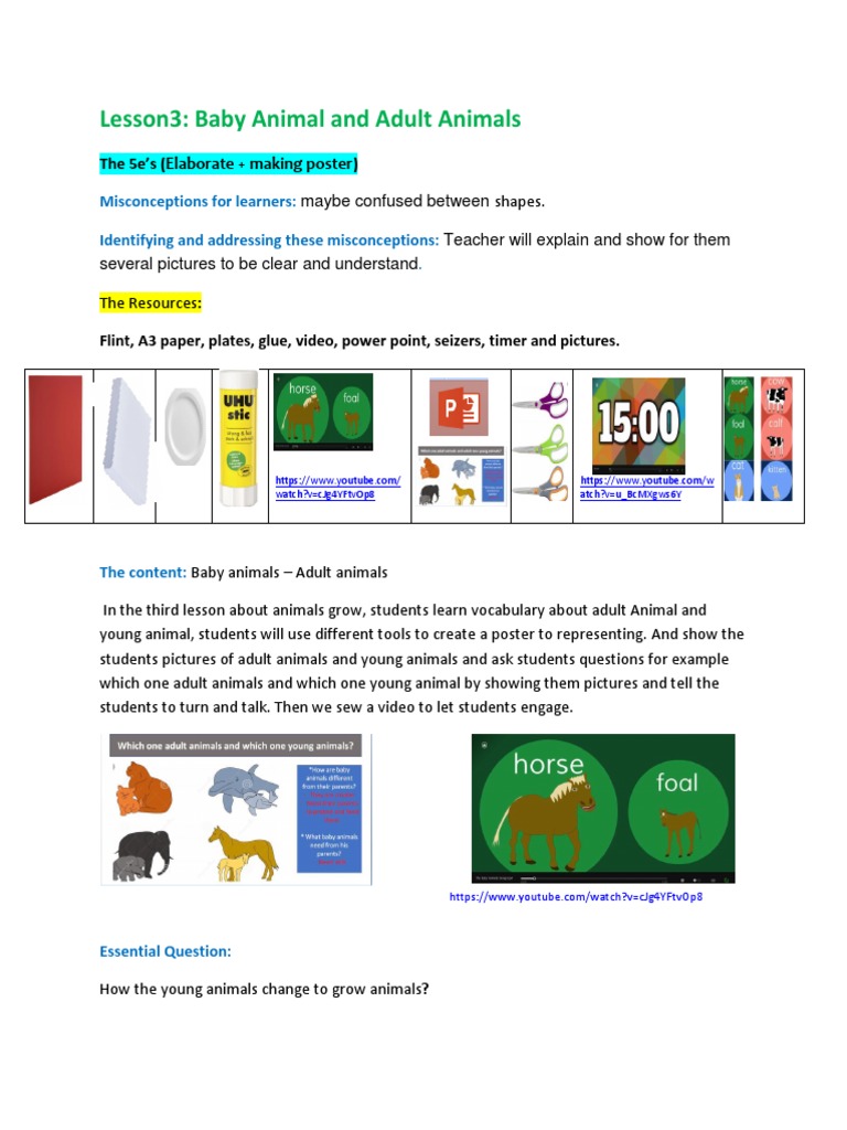 Lesson3: Baby Animal and Adult Animals | PDF | Pedagogy | Learning