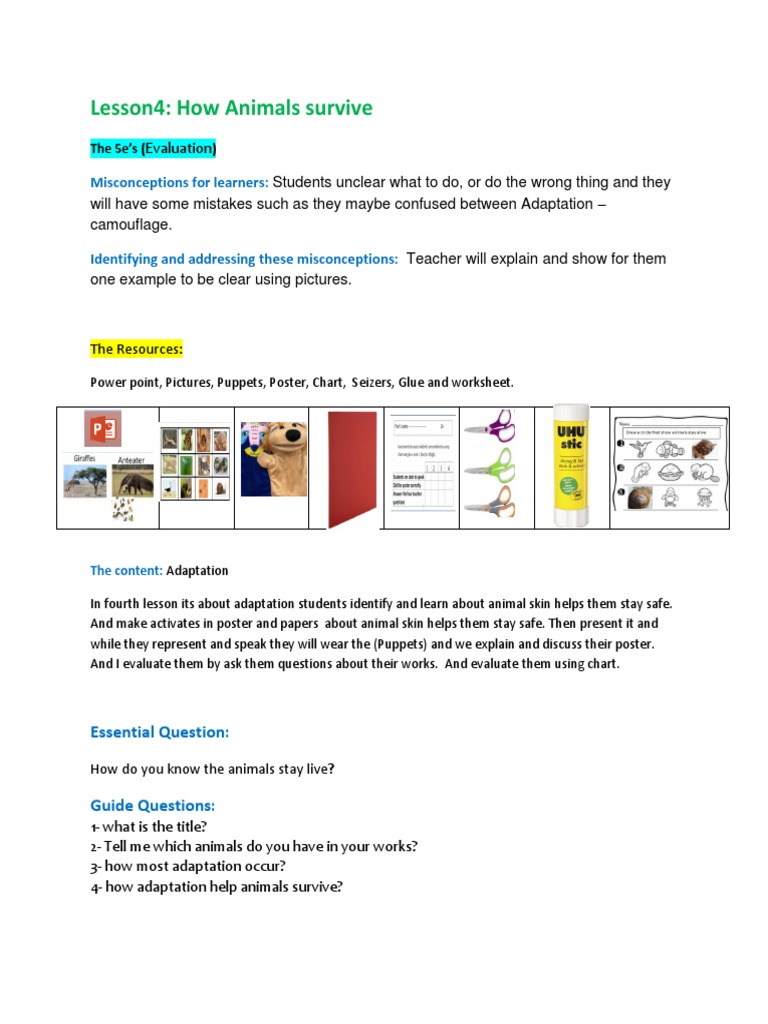 Lesson4: How Animals Survive: Misconceptions For Learners | PDF ...