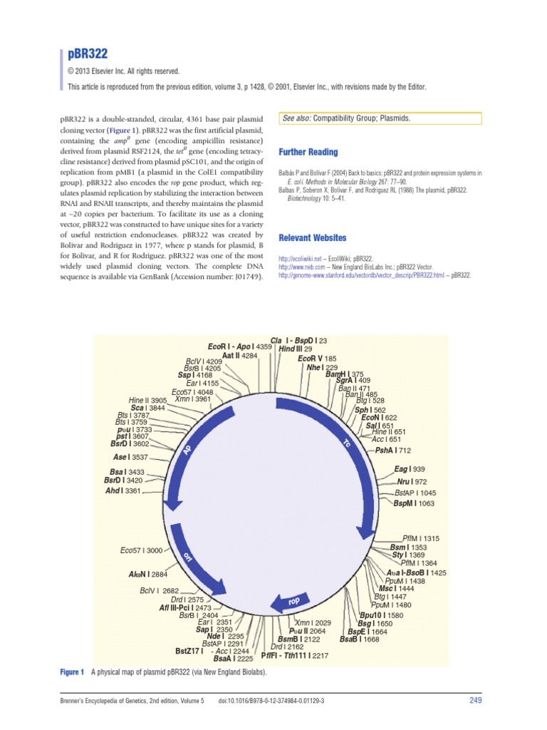 Further Reading: See Also: Compatibility Group Plasmids | PDF | Plasmid ...