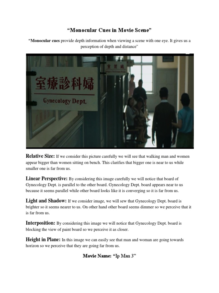 Monocular Cues in Movie Scene | PDF