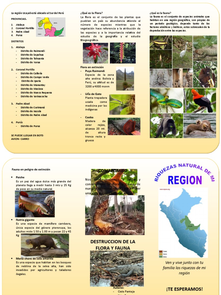 Triptico de Perú | PDF | Flora | Organismos