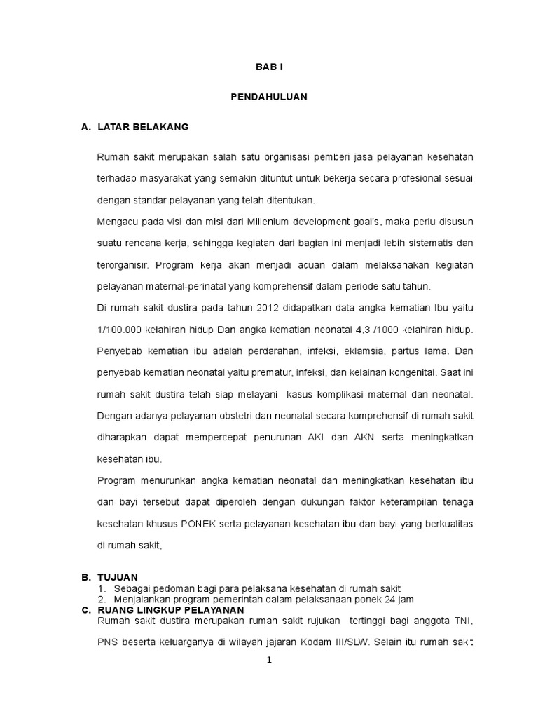 Pedoman Ponek 24 Jam | PDF