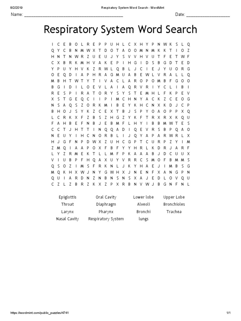 Respiratory System Word Search - WordMint | Download Free PDF ...
