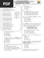 Pruebas Saber Español 3° Grado | PDF | Palabra | Oración (Lingüística)
