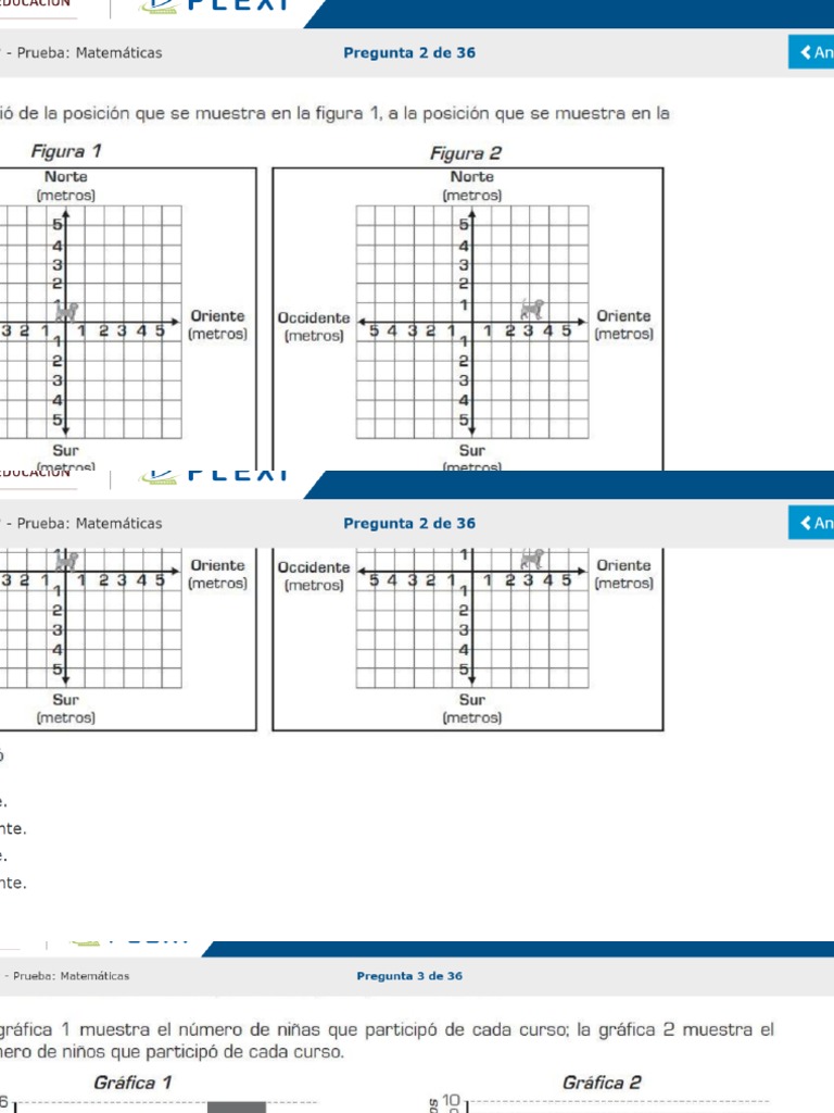 Prueba Avancemos | PDF