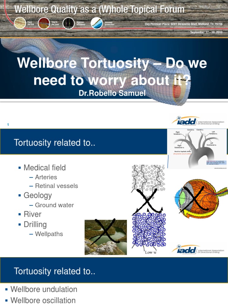 Wellbore Tortuosity - Do We Need To Worry About It?: DR - Robello ...
