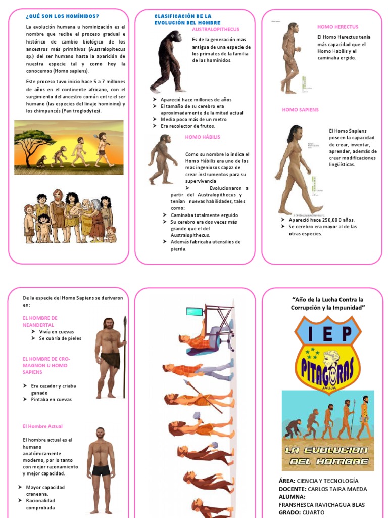 Evolucion Humana