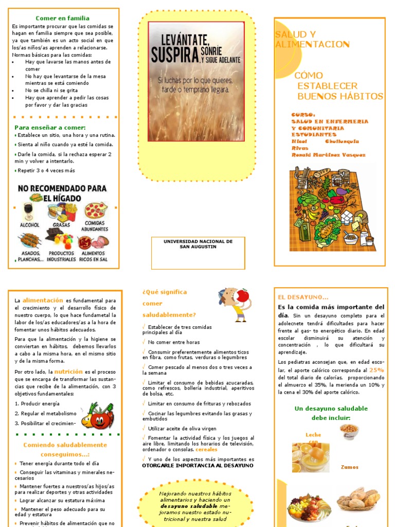Triptico Salud y Alimentacion | PDF | Legumbre | Alimentos