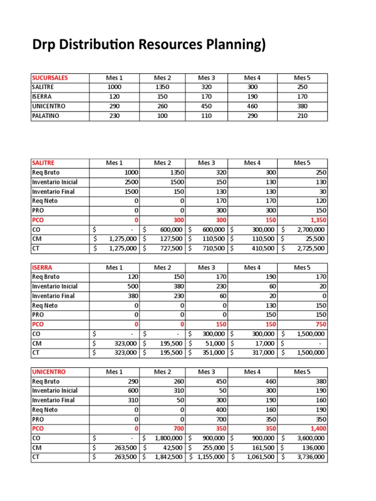 DRP: Brutos a Netos y Distribución | PDF
