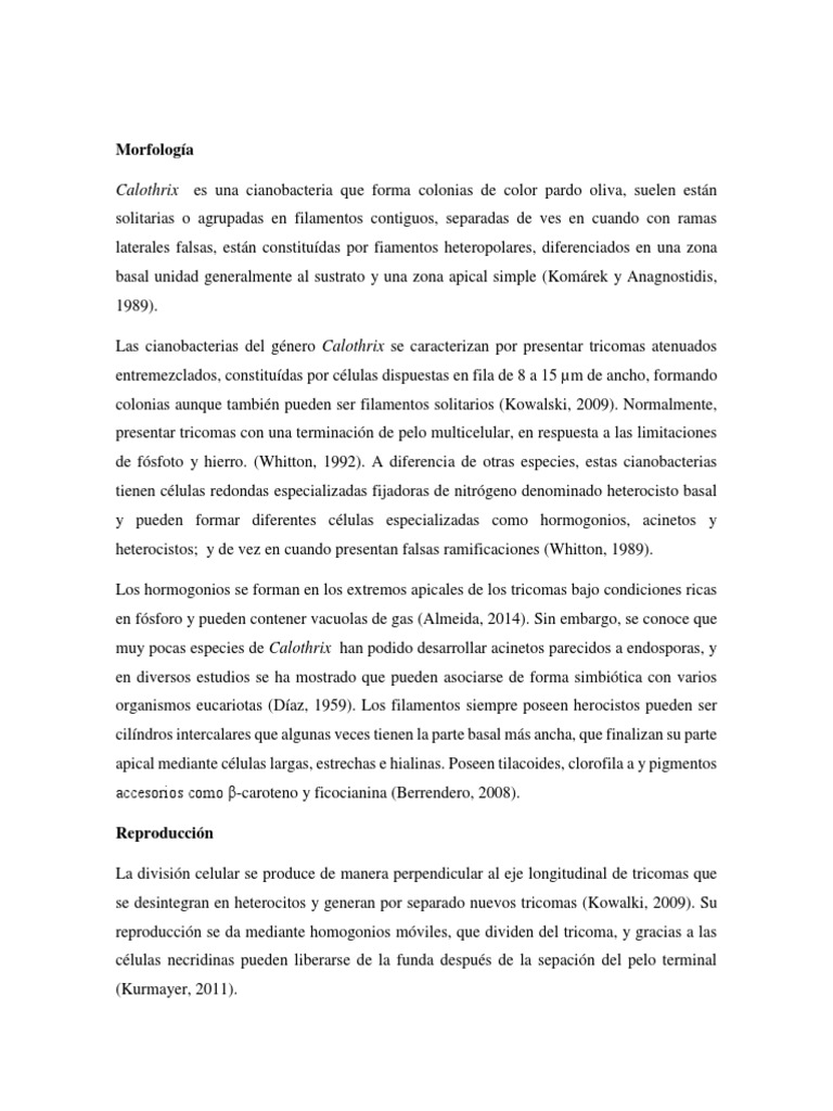 Calothrix | PDF | Cianobacterias | Organismos