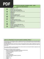 Qué Es Un Programa Educativo | PDF | Aprendizaje | Maestros