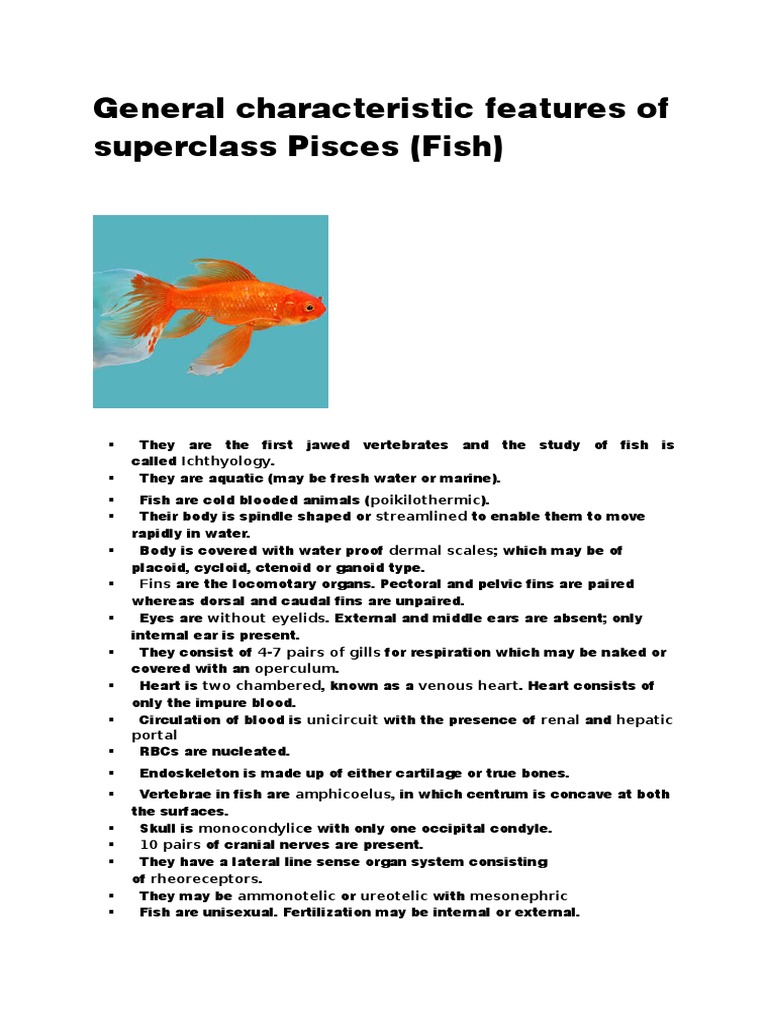 Characteristics of Superclass Pisces | PDF