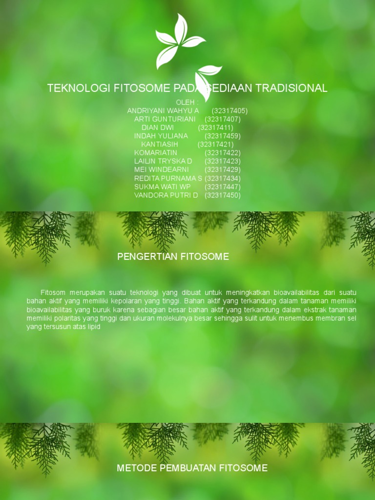 Teknologi Fitosome dalam Sediaan Tradisional | PDF | Kesehatan Holistik ...