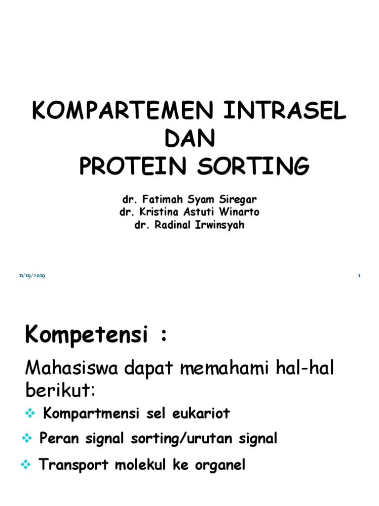Protein Sorting | PDF
