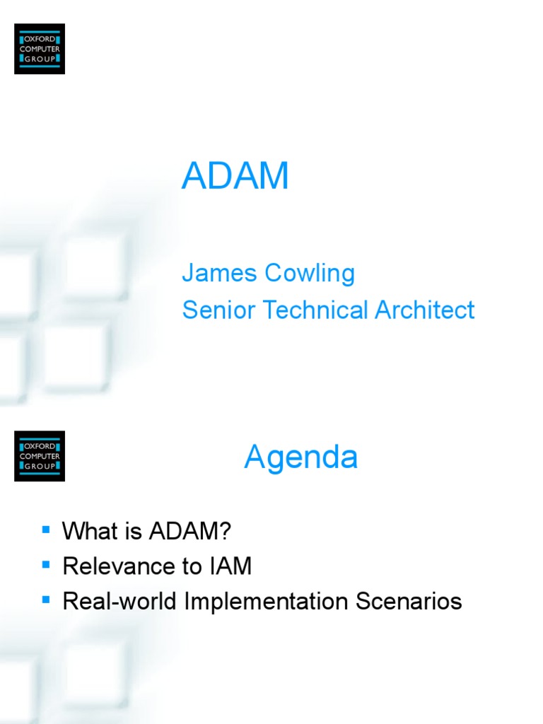 An Overview of ADAM and its Applications in Identity and Access ...