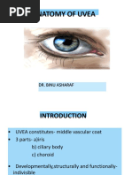 Seidel's Test | PDF | Human Eye | Medical Specialties