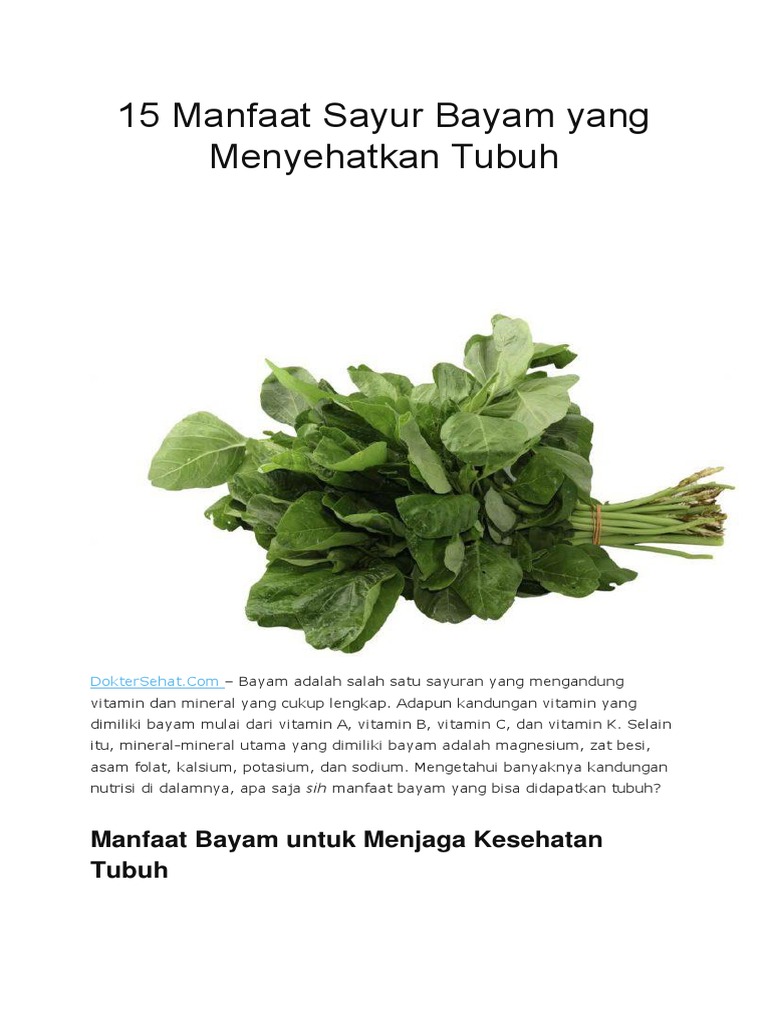 15 Manfaat Sayur Bayam Yang Menyehatkan Tubuh | PDF
