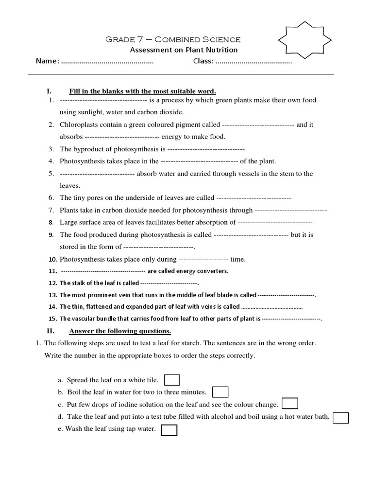 Plant Nutrition Assessment for Grade 7 | PDF | Leaf | Photosynthesis