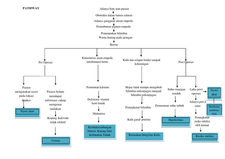 Pathway Ikterus Obstruktif dan Patofisiologi | PDF