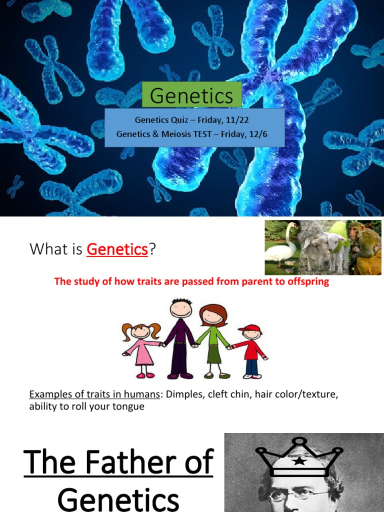 Genetics Notes - CANVAS 2019 | PDF | Dominance (Genetics) | Genotype