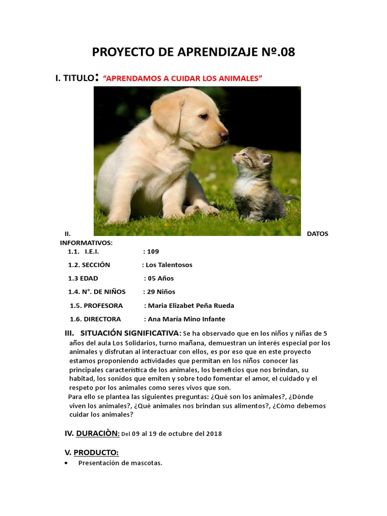 Proyecto Los Animales | PDF | Evaluación | Conocimiento