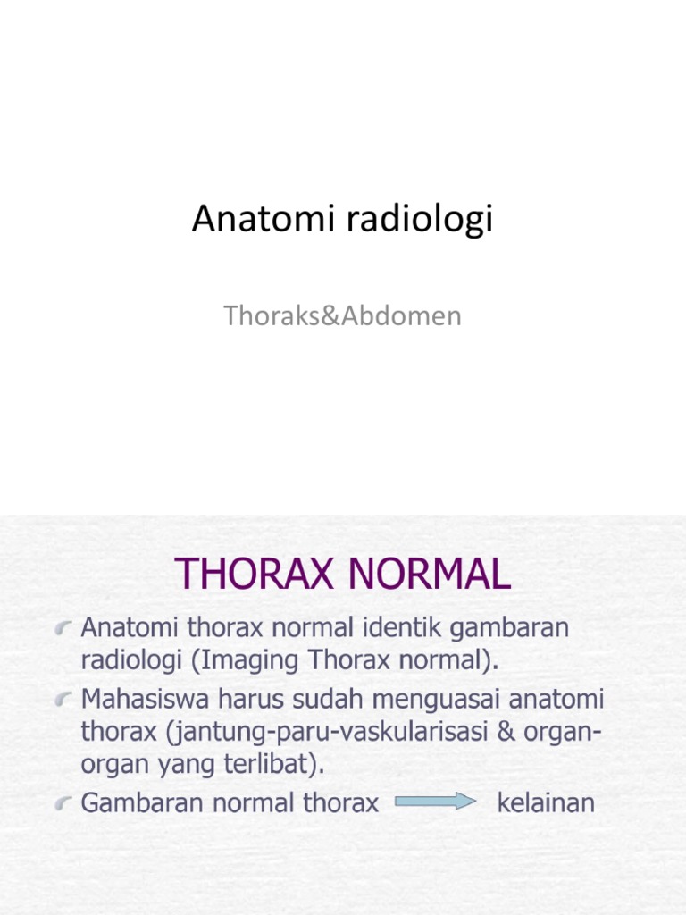 Anatomi Radiologi Thoraks Abdomen 1 | PDF | Vertebra | Lung
