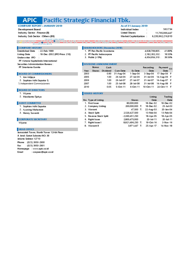 Apic PDF | PDF | Revenue | Financial Accounting
