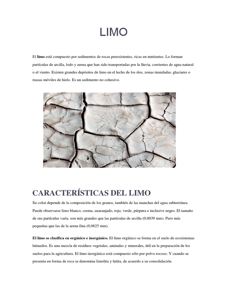 Monografia de Limo y Arcilla | PDF | Arcilla | Roca (geología)