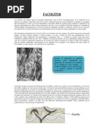 Simbologia Mapas Geologicos | PDF | Falla (geología) | Geología estructural