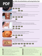 Wound Classification Chart 141 | PDF | Wound | Topical Medication