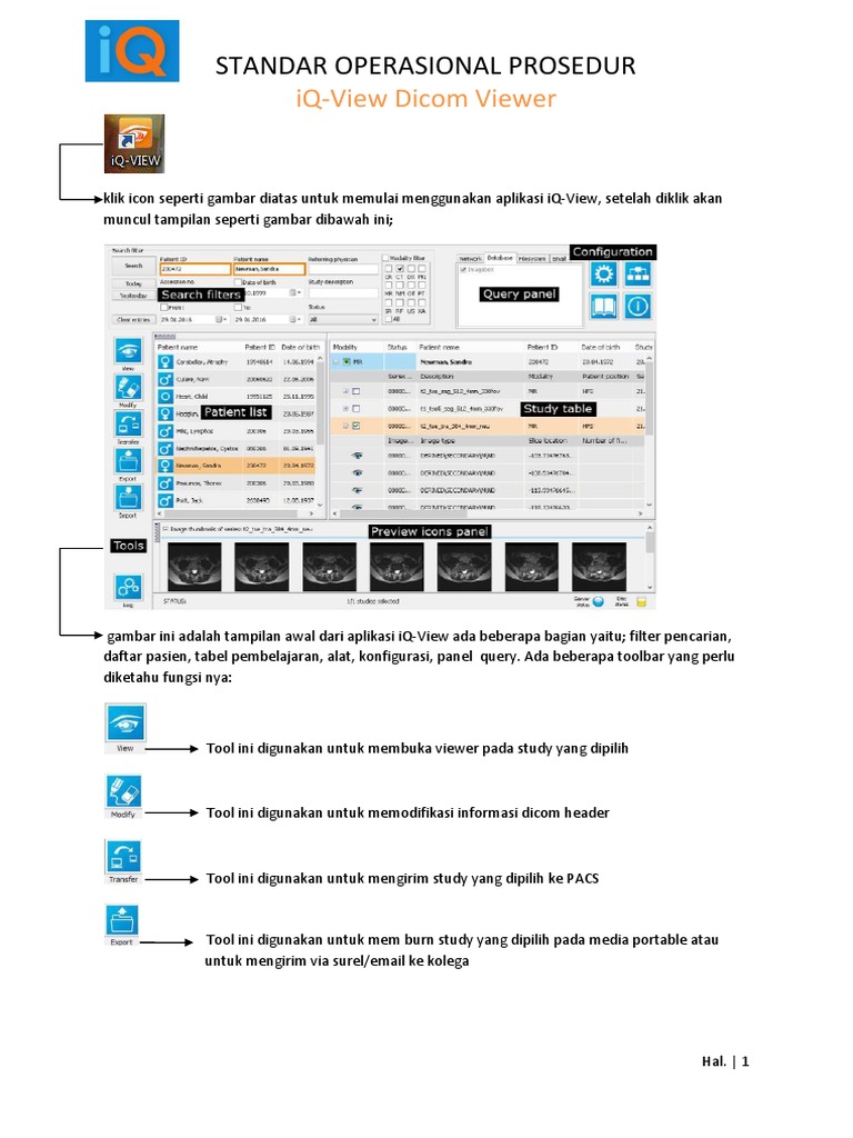 SOP IQ-View Dicom Viewer | PDF