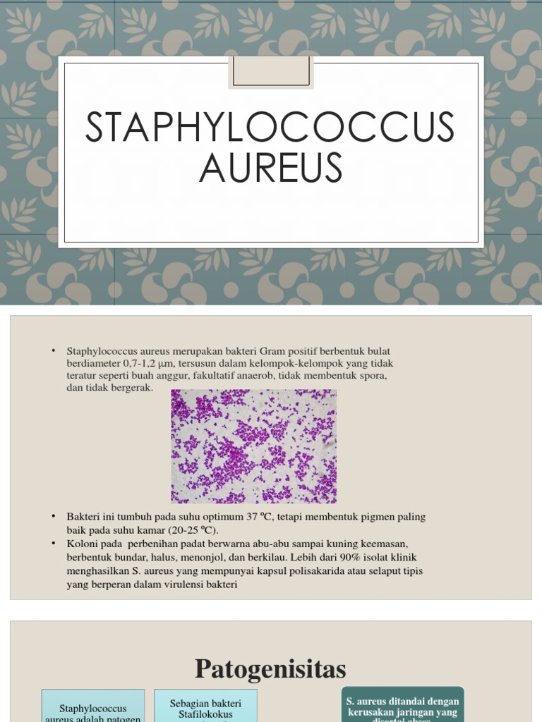 Staphylococcus Aureus | PDF