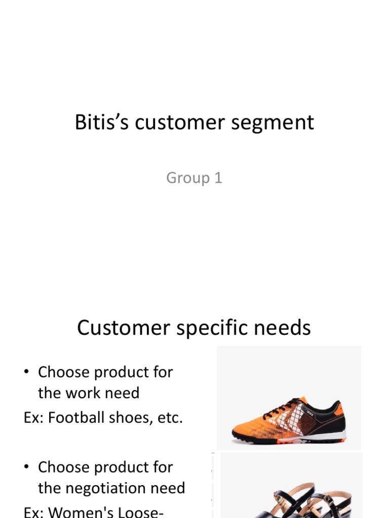 Bitiss Customer Segment | PDF | Social Science | Self-Improvement