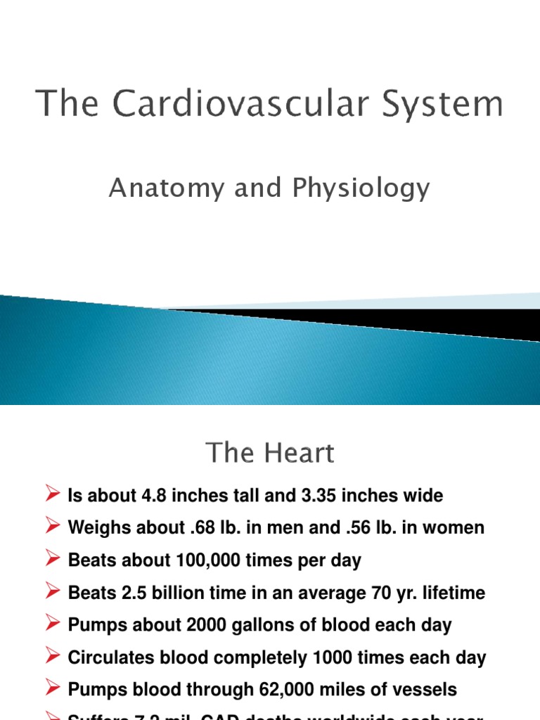 Powerpoint Thecardiovascularsystem Anatomyandphysiology 141126132329 ...