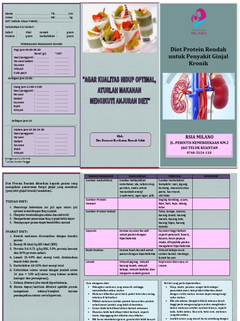 Leaflet Diet Protein Rendah Untuk Penyakit Ginjal Kronik 7 | PDF