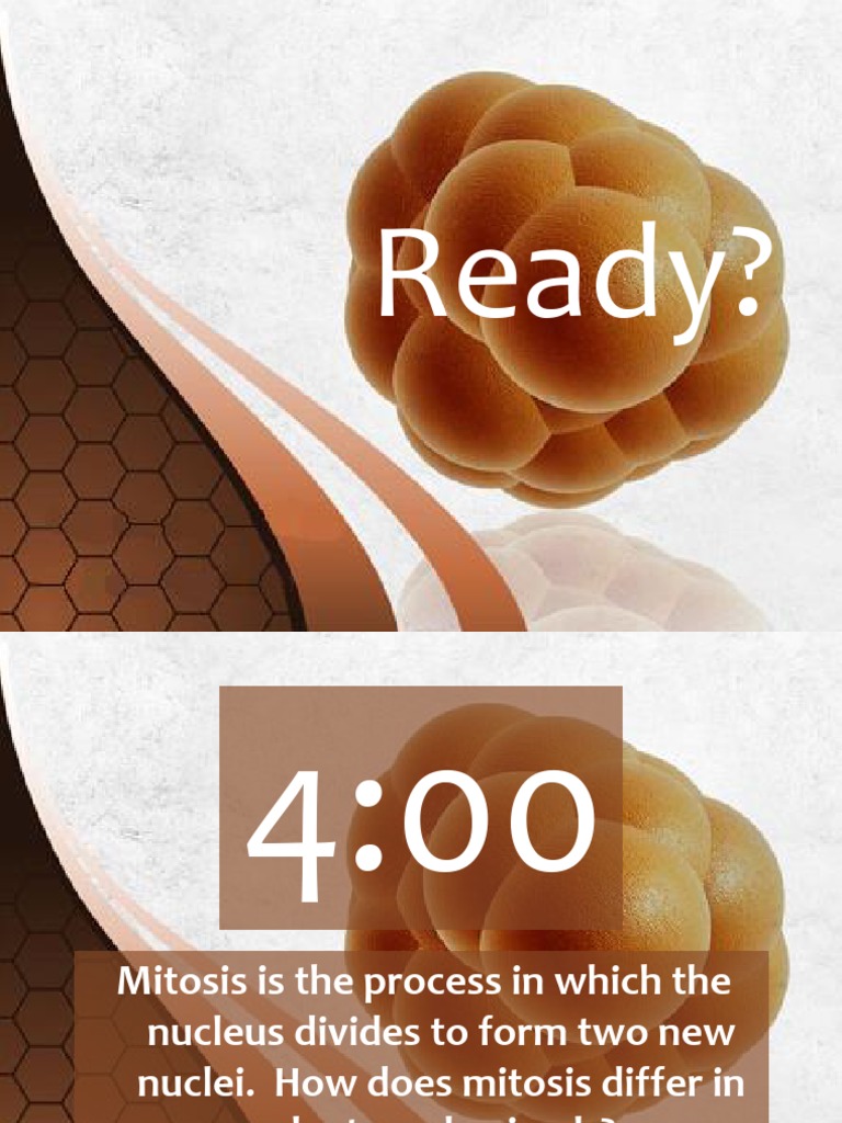 Mitosis PPT | PDF | Mitosis | Cell Biology