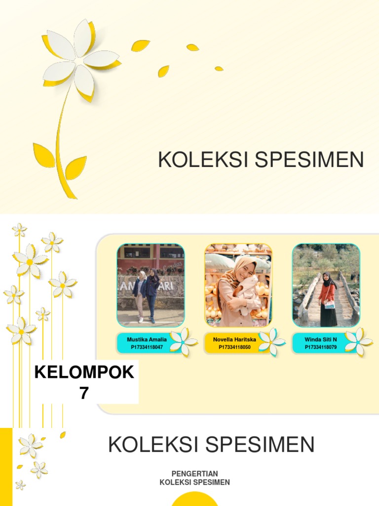 Koleksi Spesimen | PDF