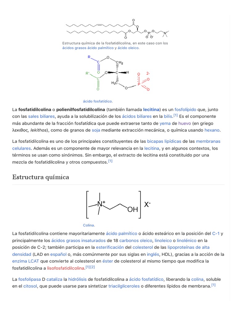 Fosfatidilcolina | PDF | Moléculas activas de membrana | Bioquímica