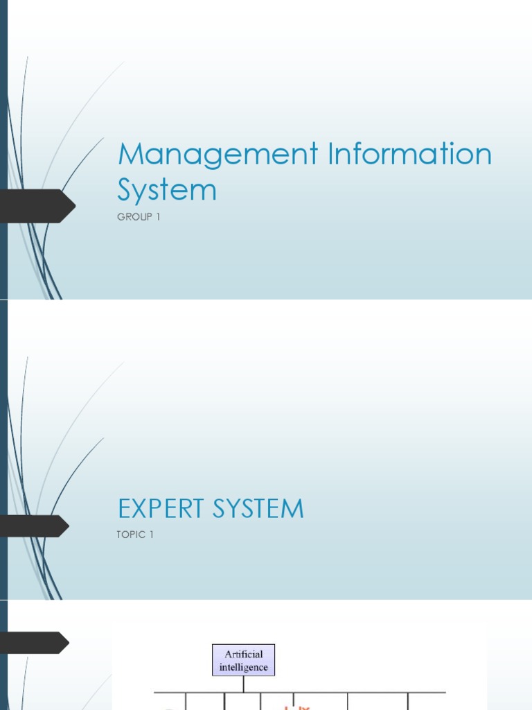 Management Information System: Group 1 | PDF | System | Expert