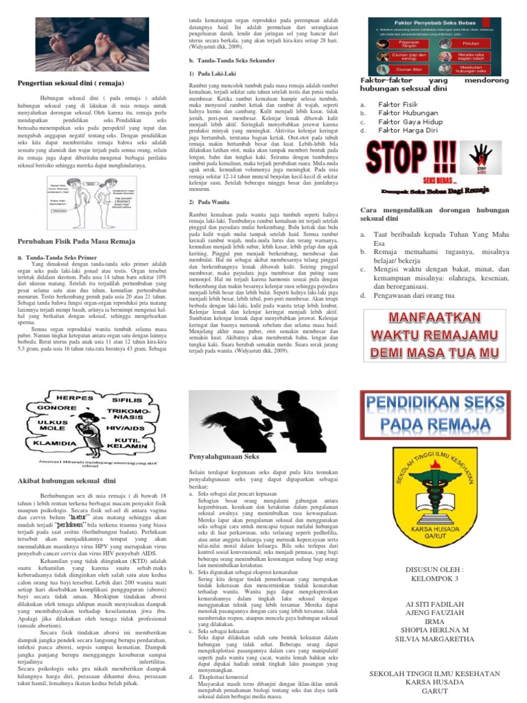 Pendidikan Seksual Pada Remaja AI | PDF