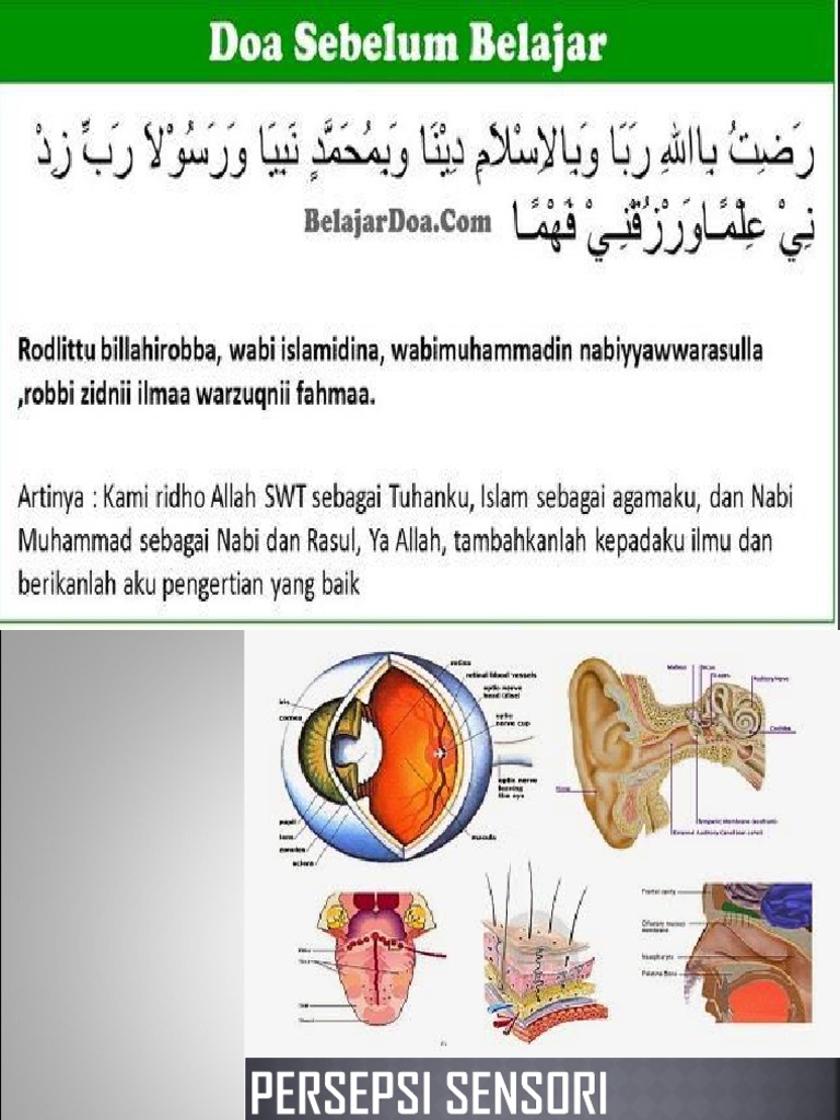 Praktikum Persepsi Sensori | PDF