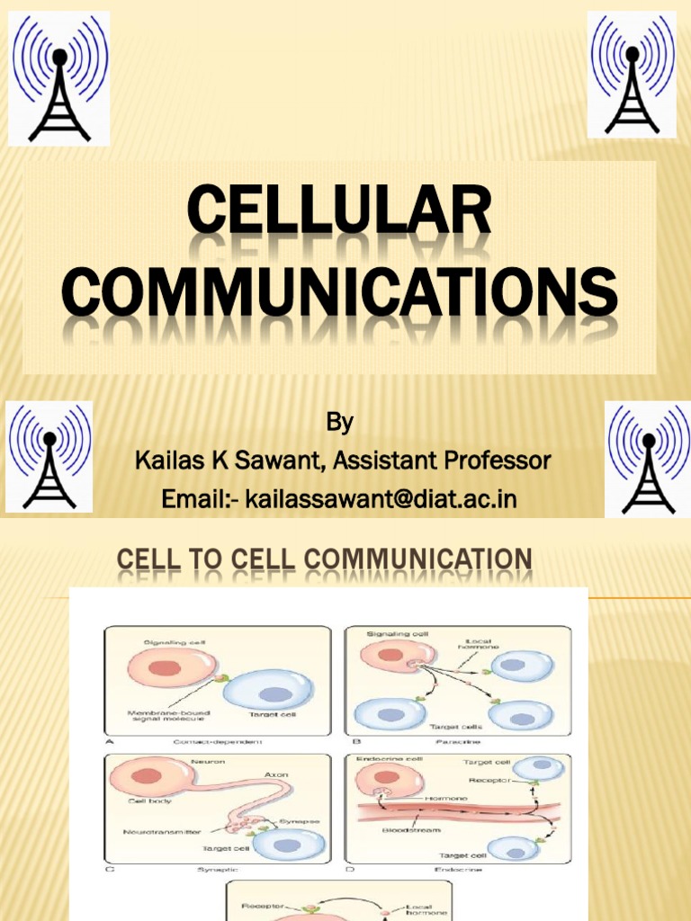 Understanding Cellular Communications: A Comprehensive Overview of Key ...