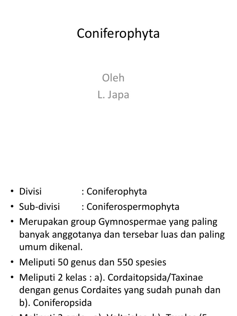 Ciri dan Contoh Coniferophyta | PDF