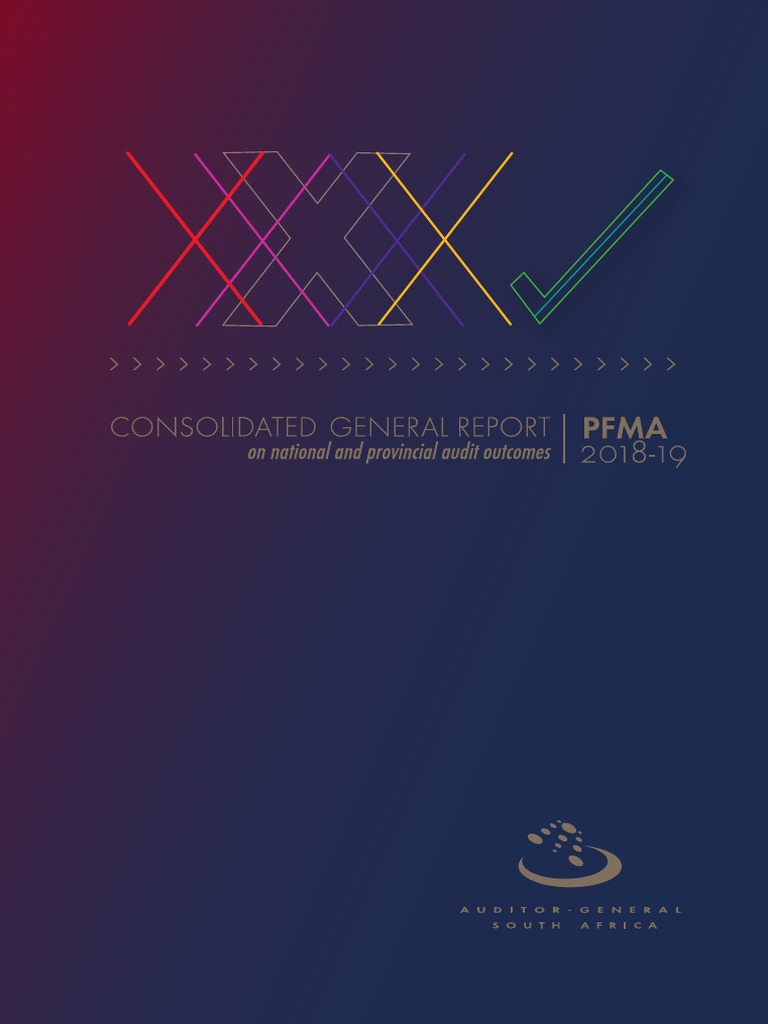 2018-19 PFMA Full Report | PDF | Internal Control | Auditor's Report