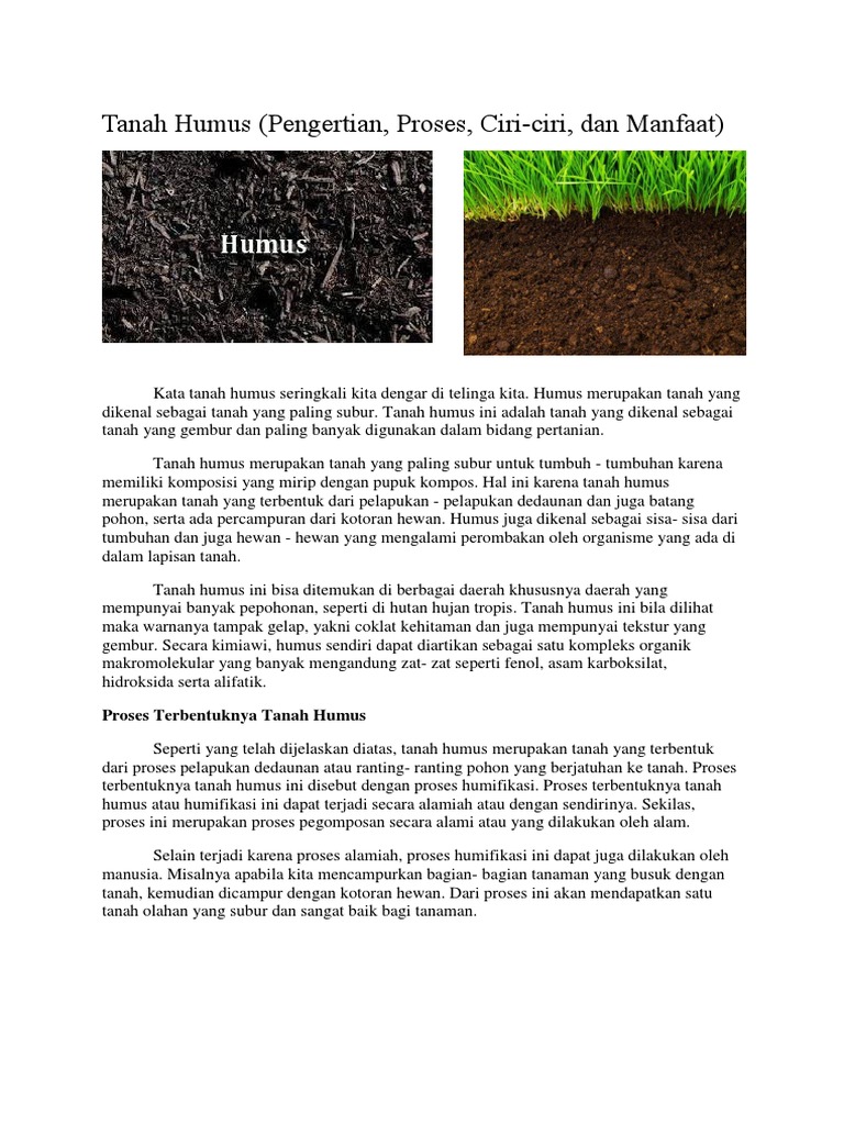 Tanah Humus | PDF