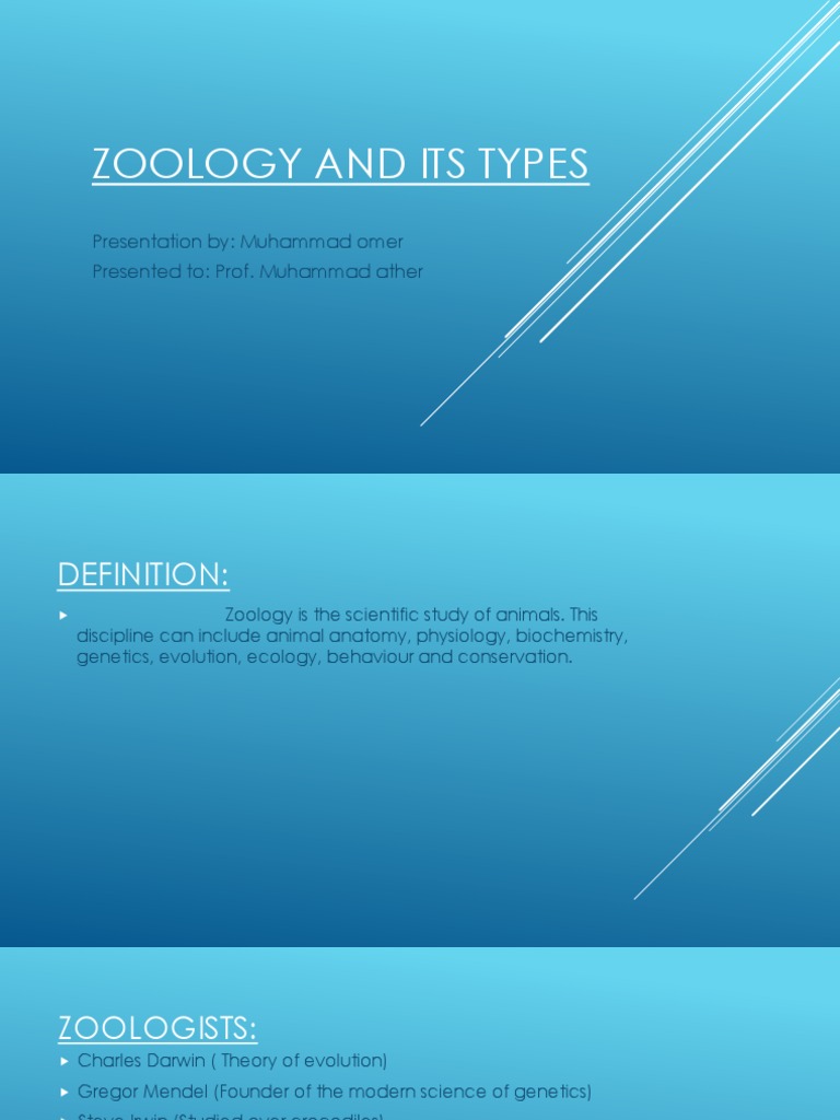 Zoology Overview for Students | PDF