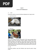 Panduan Lengkap Anatomi Ayam | PDF