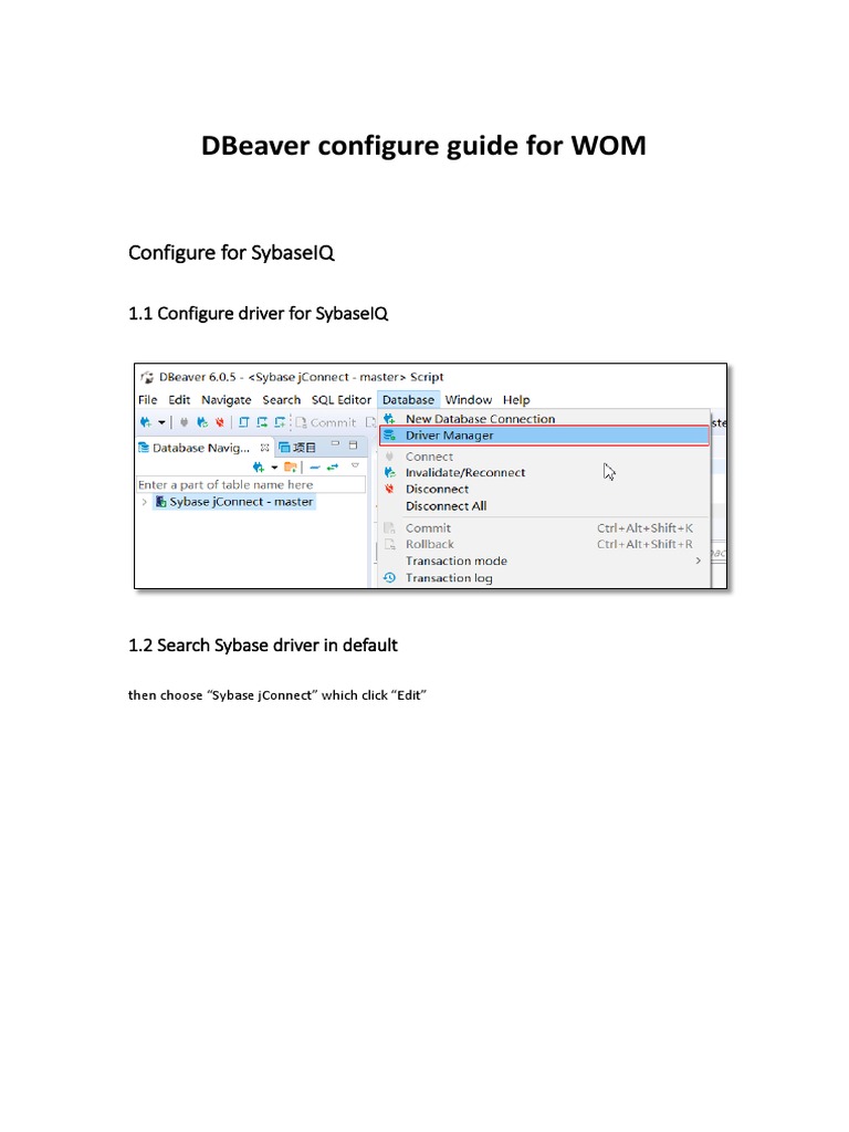 DBeaver Configure Guide For WOM | PDF