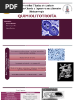 QUIMIOTROFOS | PDF | Sustancias químicas | Biología