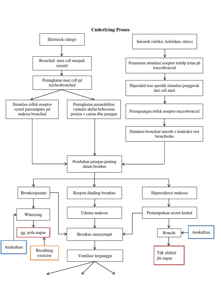 Underlying Proses | PDF